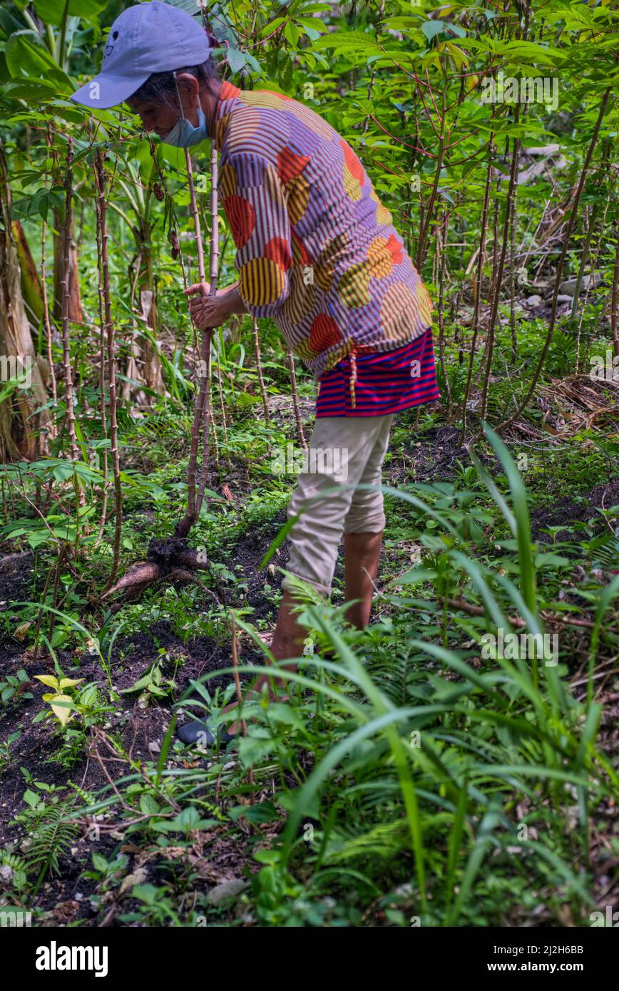 Kei besar hi-res stock photography and images - Alamy