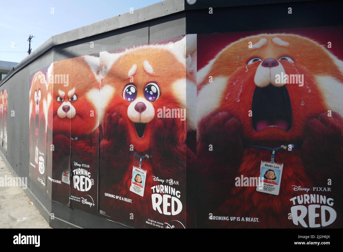 Disney turning red panda hi-res stock photography and images - Alamy