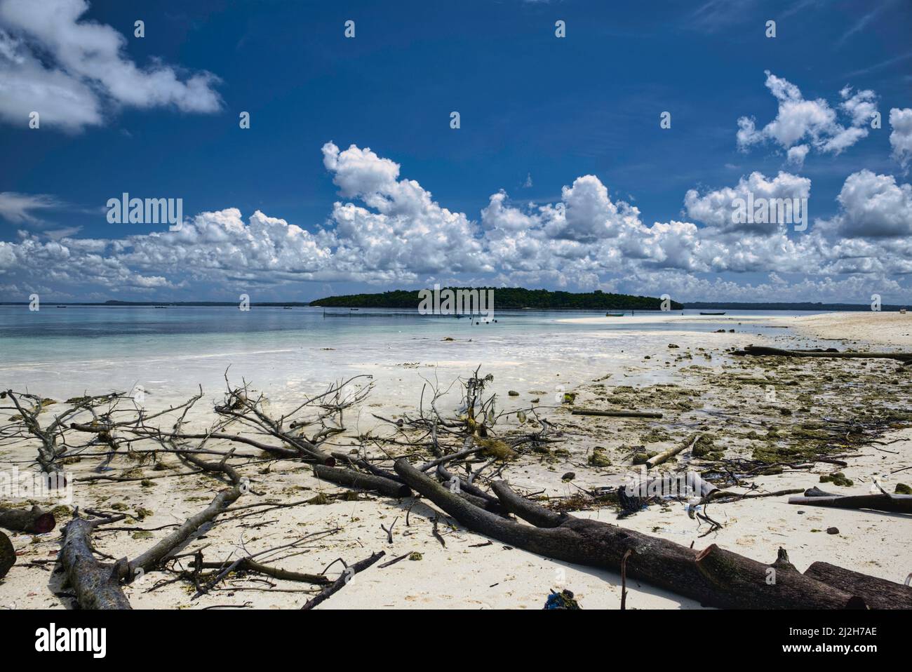 Wer warat is one of the hereditary traditions of the Kei people to ...