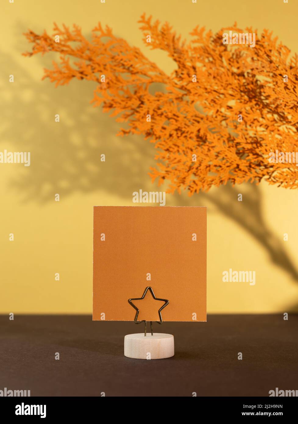 Note holder with star shaped clip and blank isolated card on yellow ...