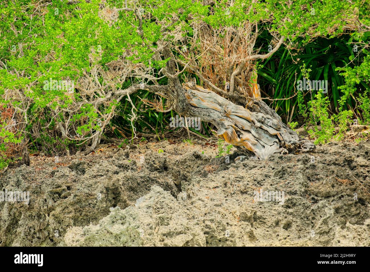 10 islands of West Kei kecil, islands around Kei islands https://goo.gl ...