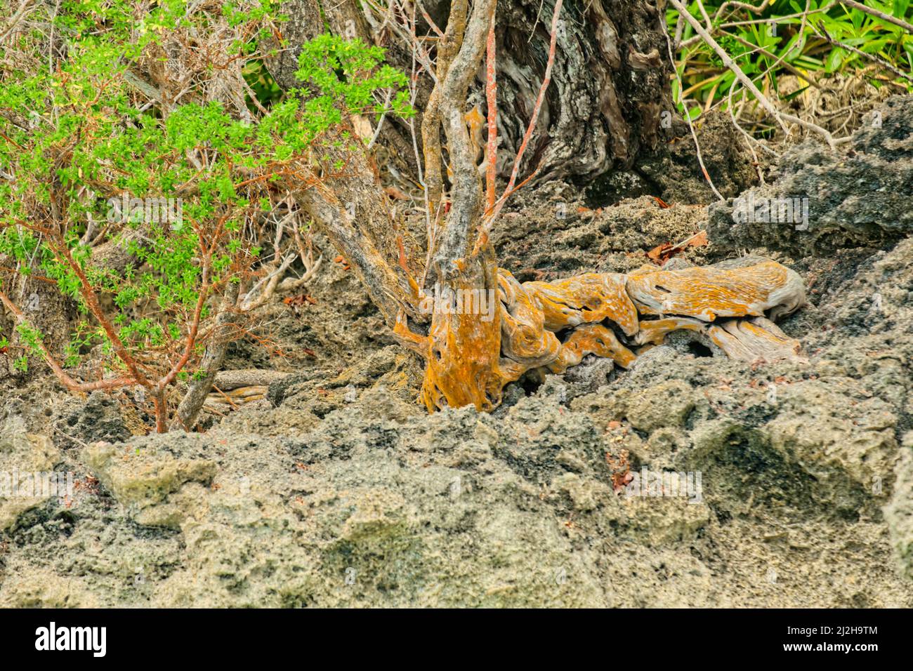10 islands of West Kei kecil, islands around Kei islands https://goo.gl ...