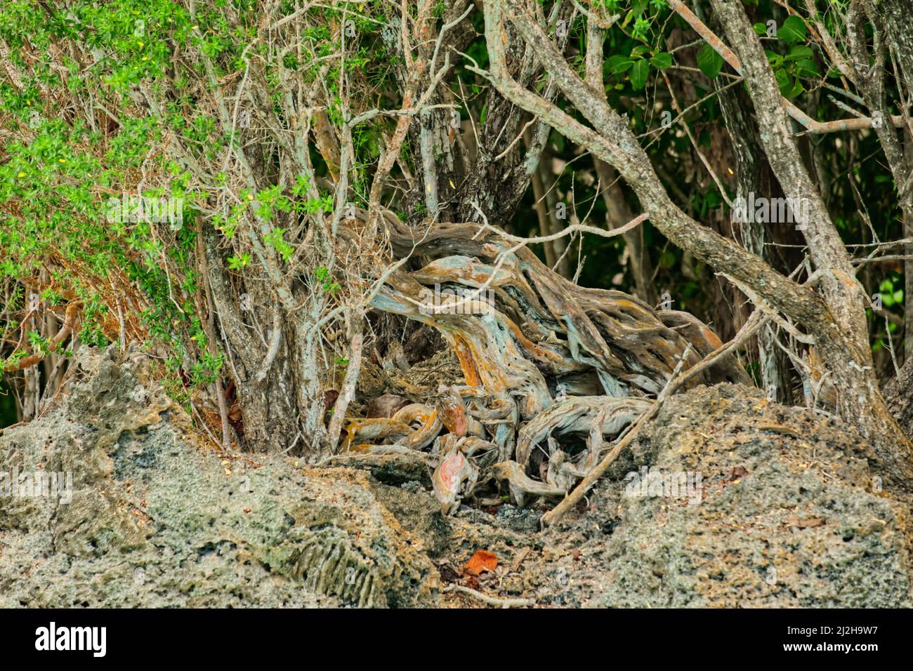 10 islands of West Kei kecil, islands around Kei islands Taken @West ...