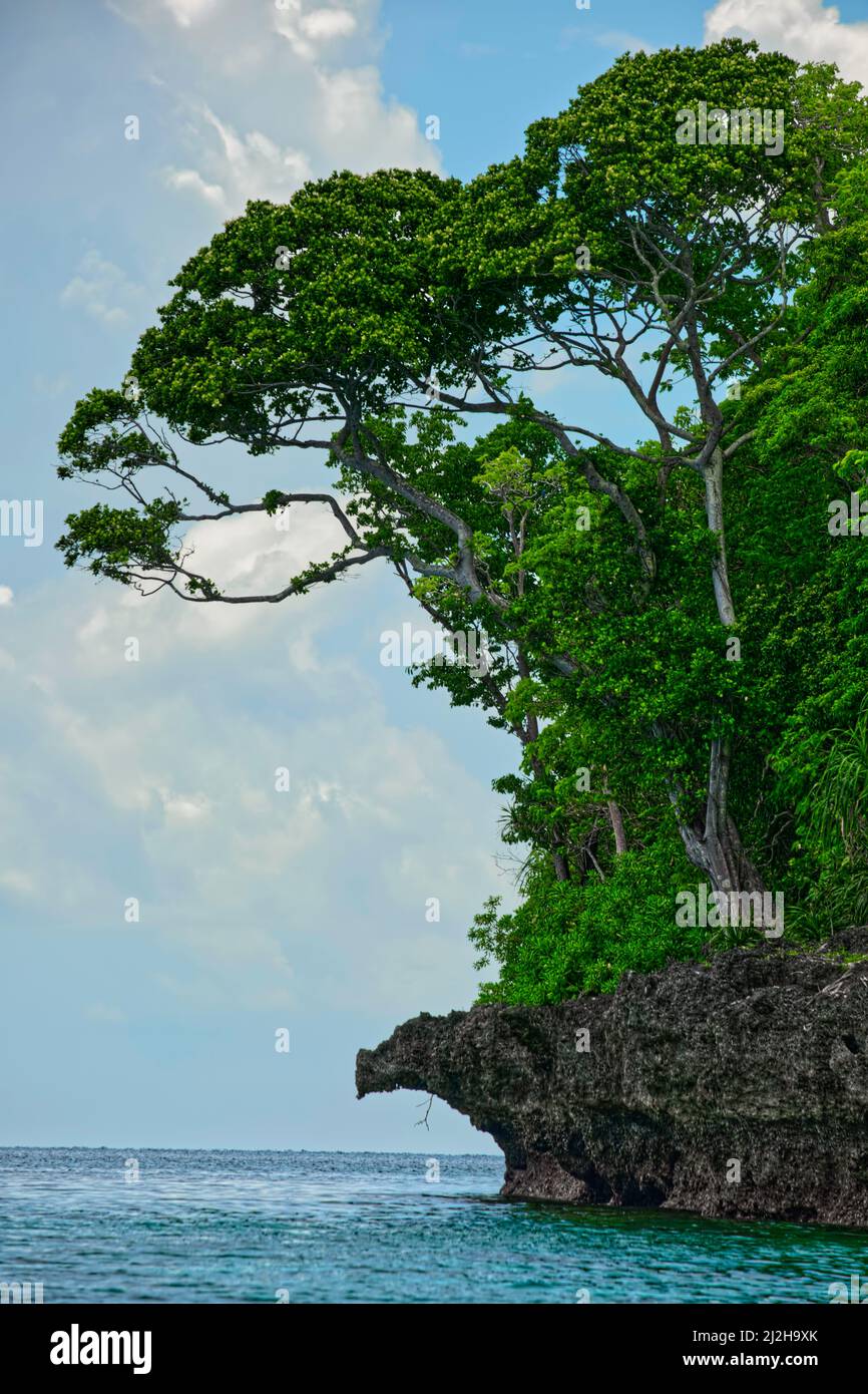 10 islands of West Kei kecil, islands around Kei islands Taken @West ...
