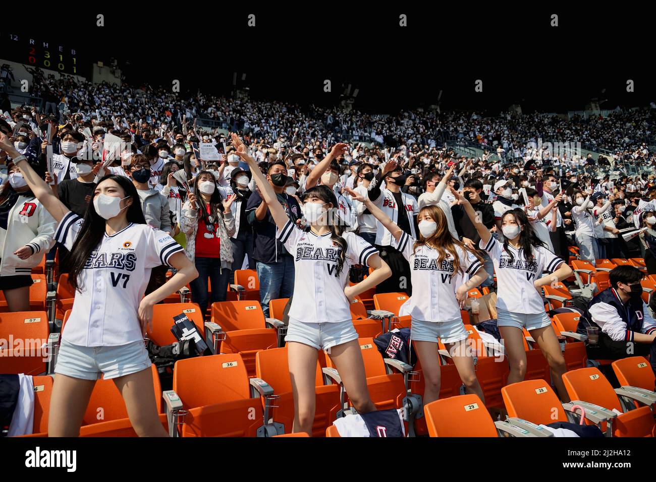 Doosan bears hi-res stock photography and images - Alamy