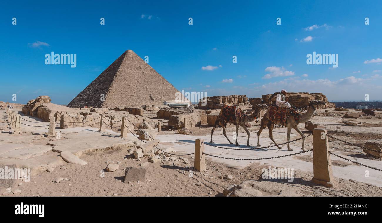 Camels and Egyptian Pyramids in Giza Stock Photo - Alamy