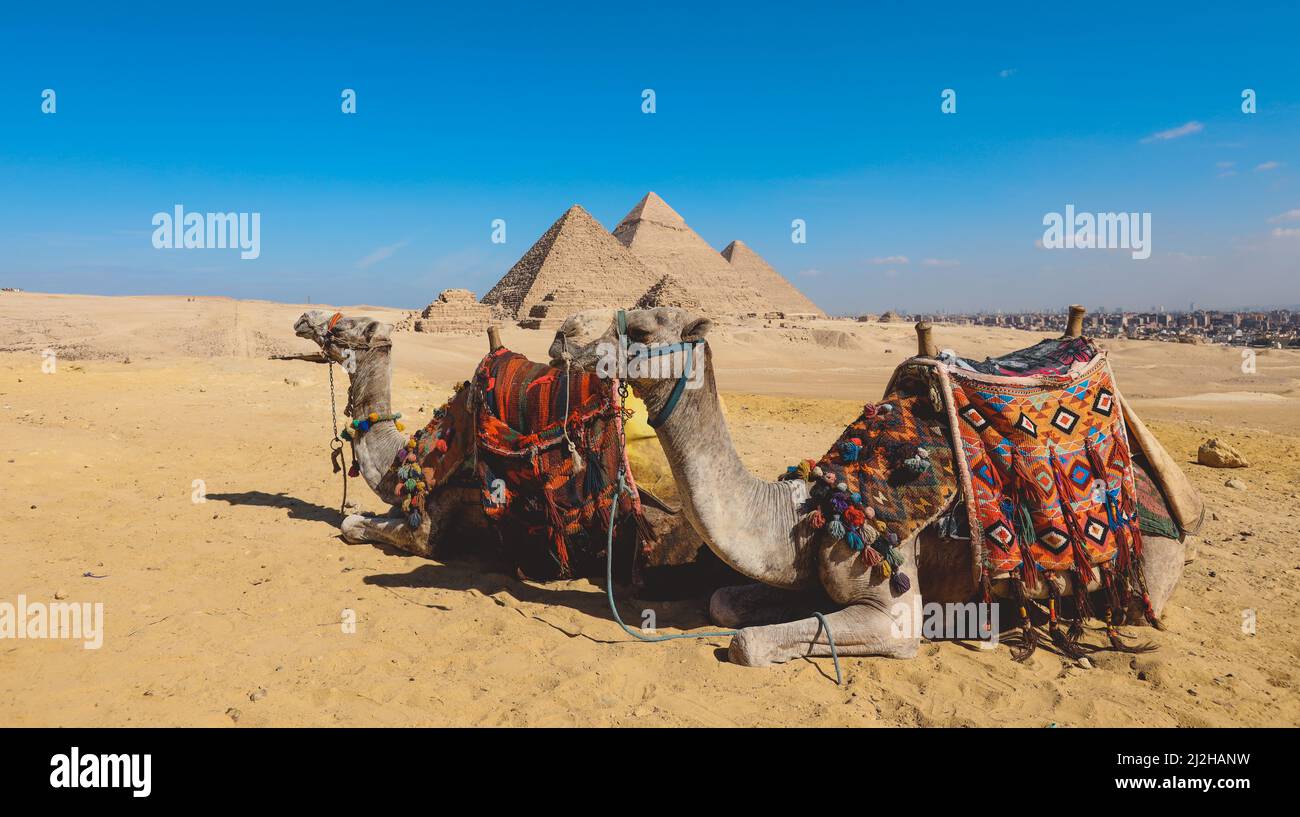 Iconic view great pyramids hi-res stock photography and images - Alamy