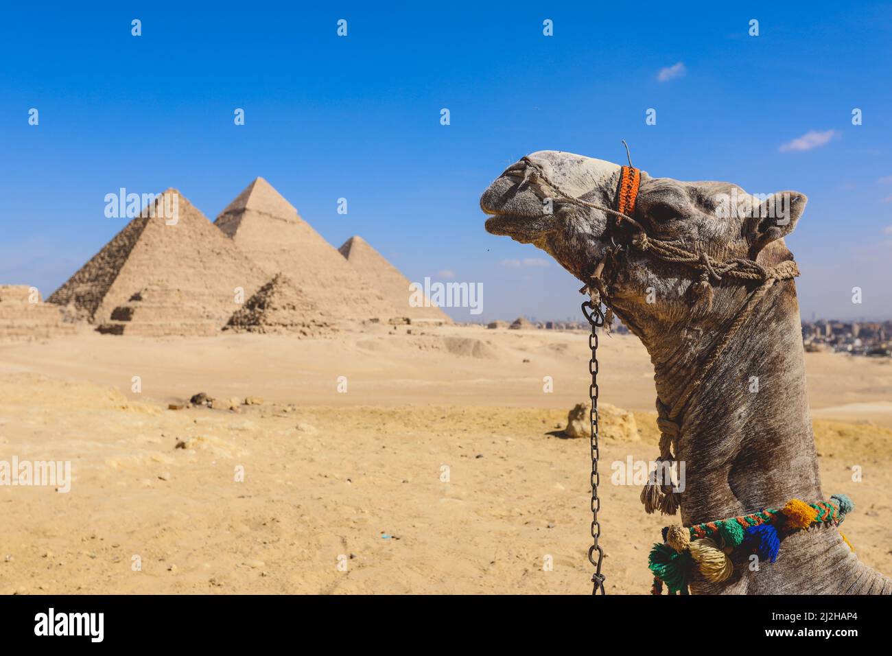 Iconic view great pyramids hi-res stock photography and images - Alamy