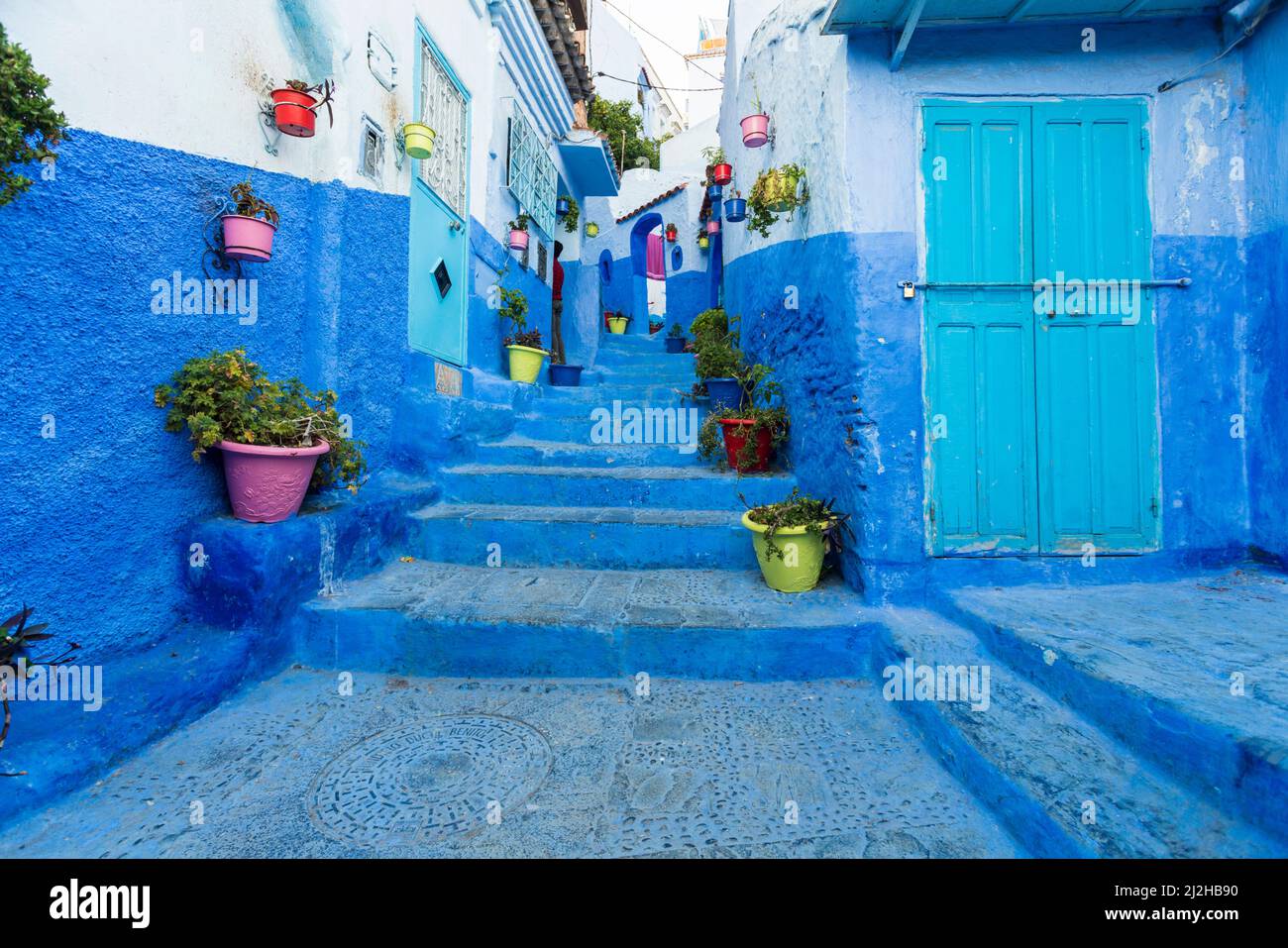 Morocco, Chefchaouen, Narrow steps with potted plants and blue houses ...