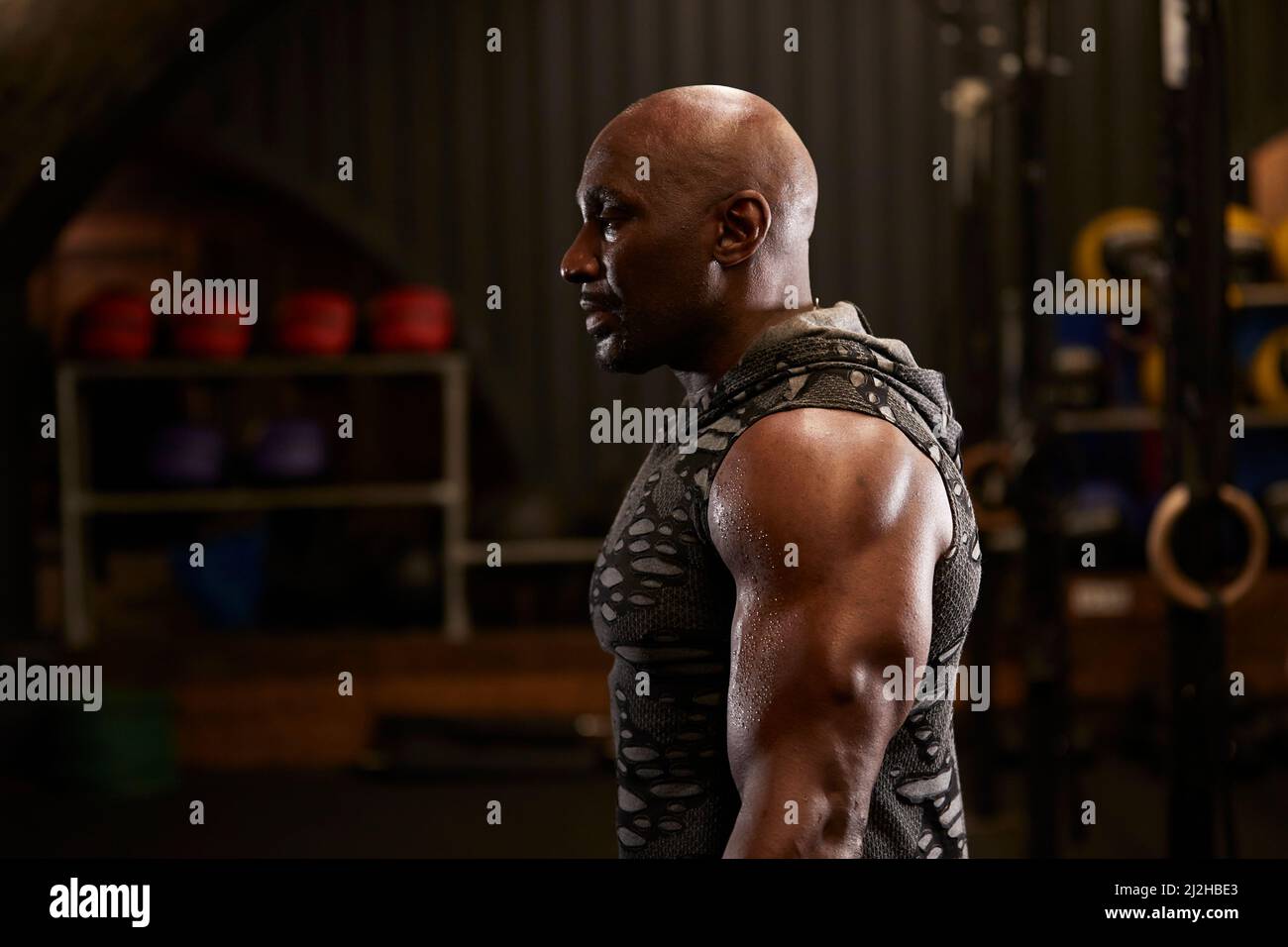 Profile of muscular man in gym Stock Photo - Alamy