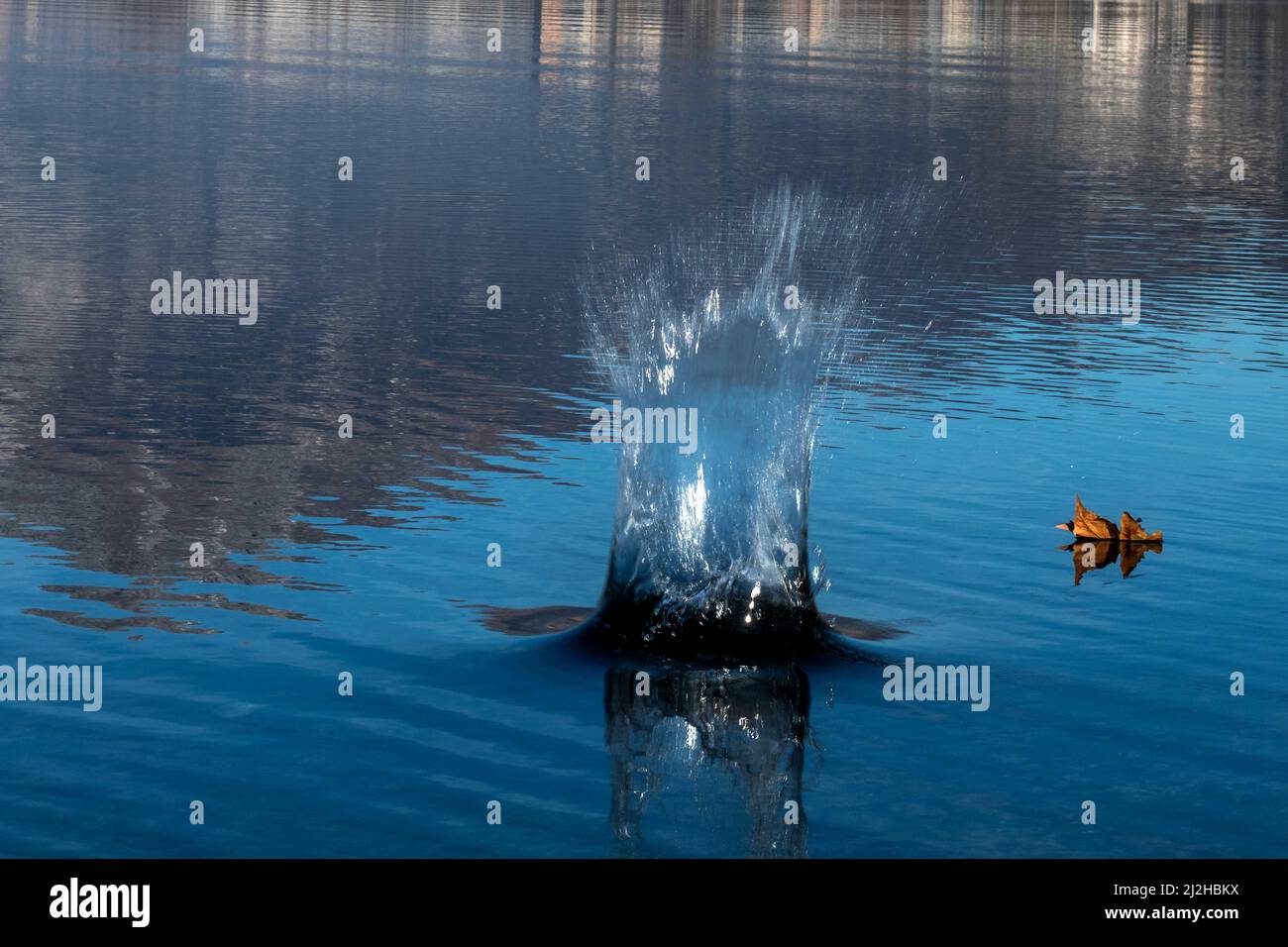 Water splashing in like after stone throw Stock Photo - Alamy