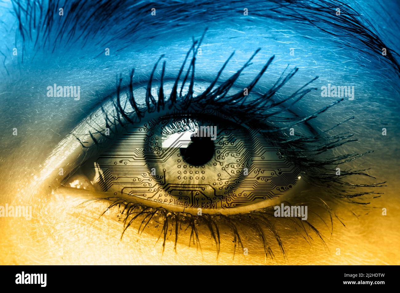 woman eye in split colors and computer board superimposed Stock Photo ...