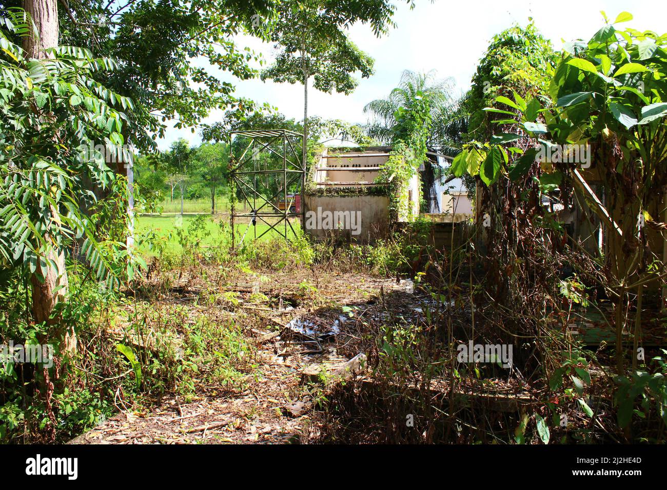 SAN ANTONIO, BELIZE - OCTOBER 26, 2015 British Army patrol base at ...