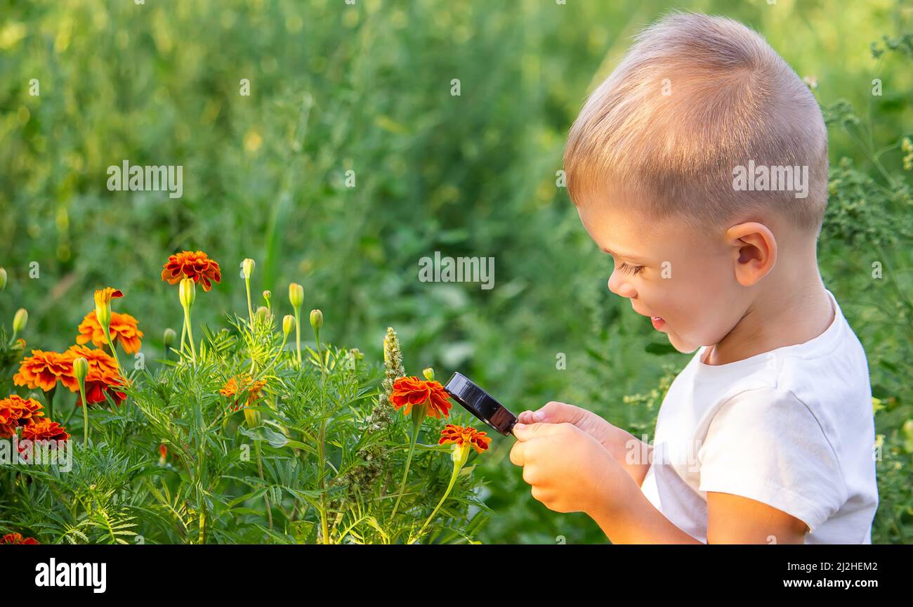 Young boy exploring nature in the meadow with a magnifying glass ...