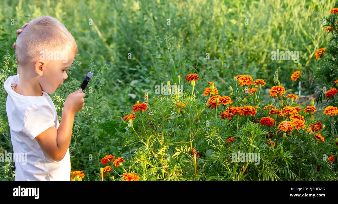 Young boy exploring nature in the meadow with a magnifying glass ...