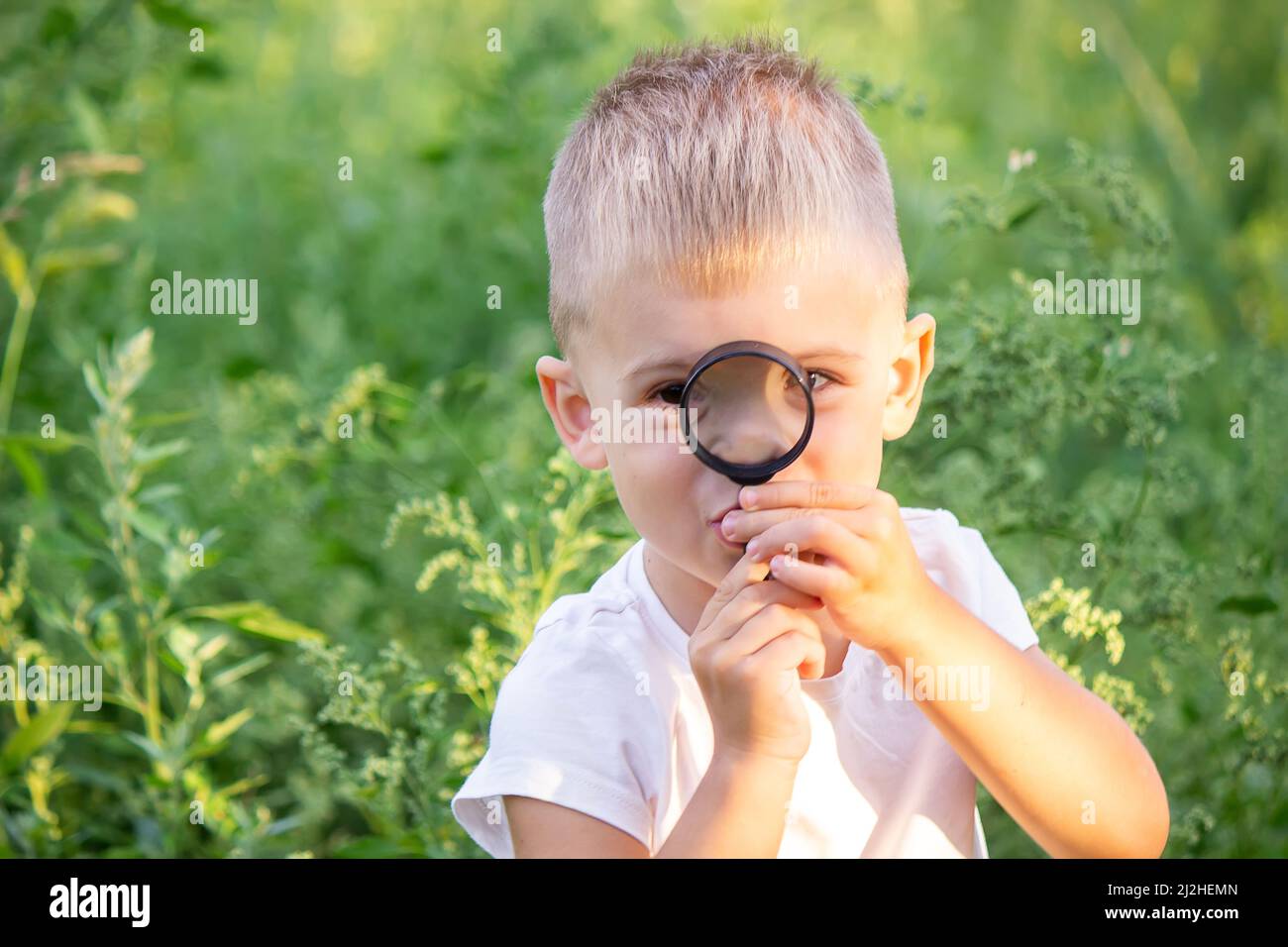 Young boy exploring nature in the meadow with a magnifying glass ...