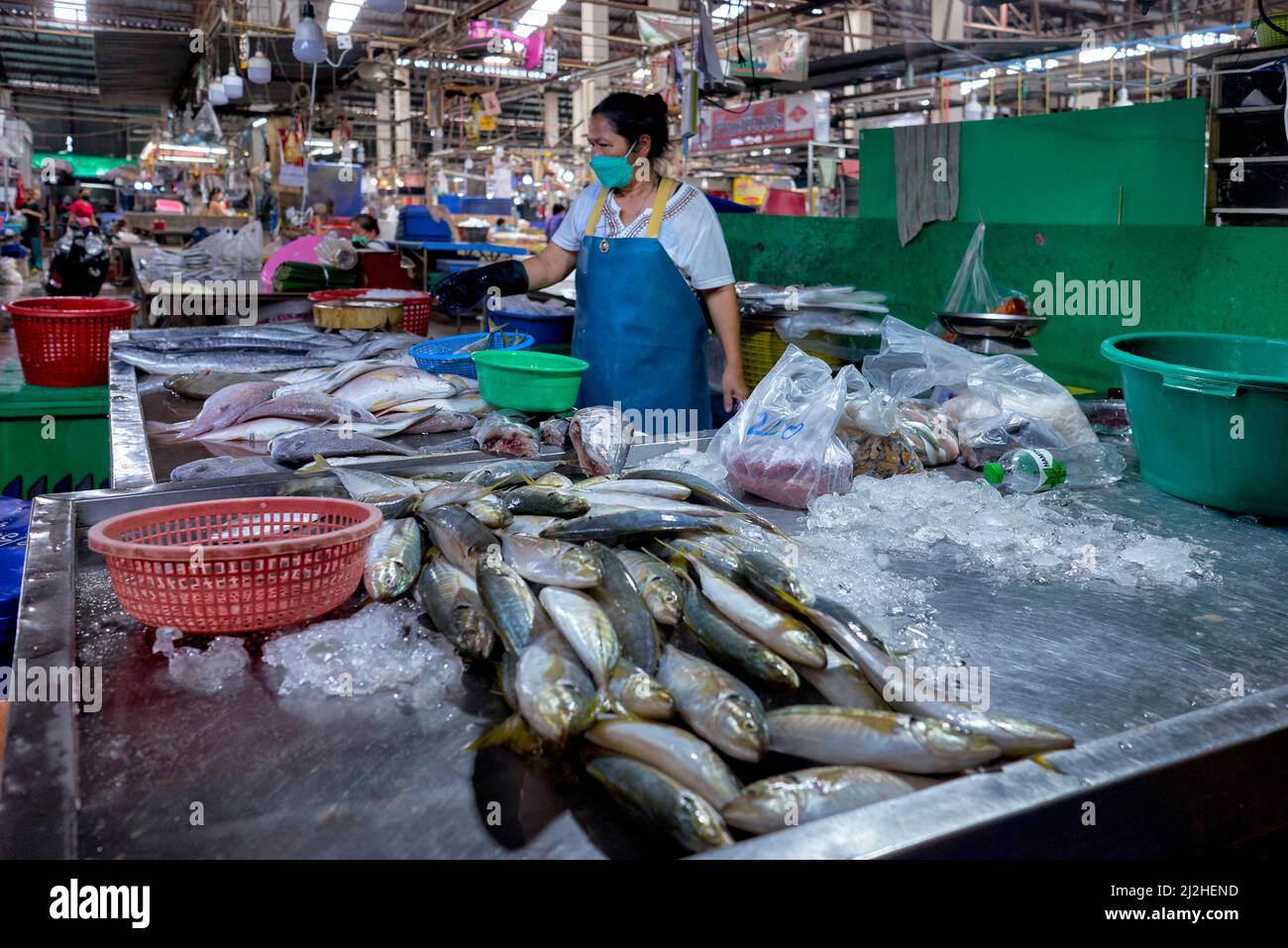 Thailand fish market. Southeast Asia Stock Photo - Alamy