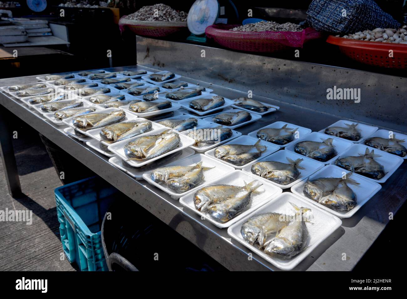 Thailand mackerel small fish unique to the Gulf of Thailand with its ...