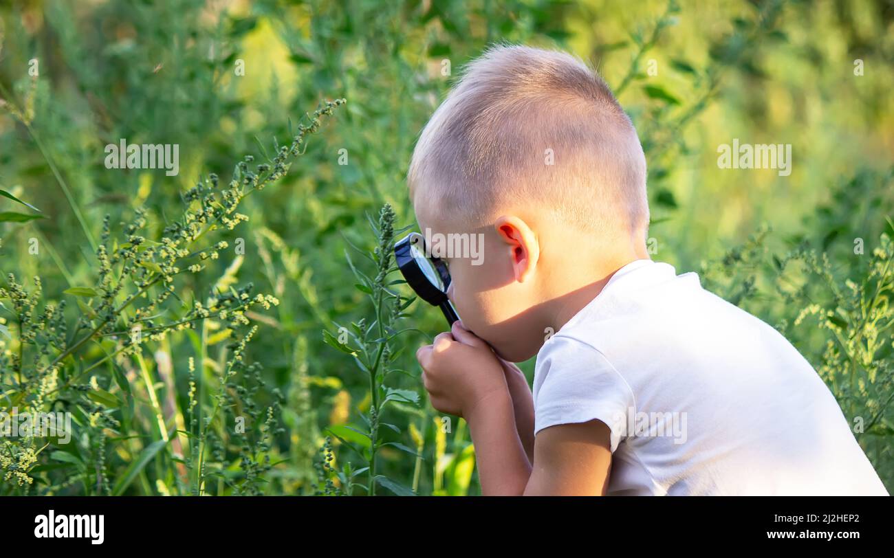 Young boy exploring nature in the meadow with a magnifying glass ...
