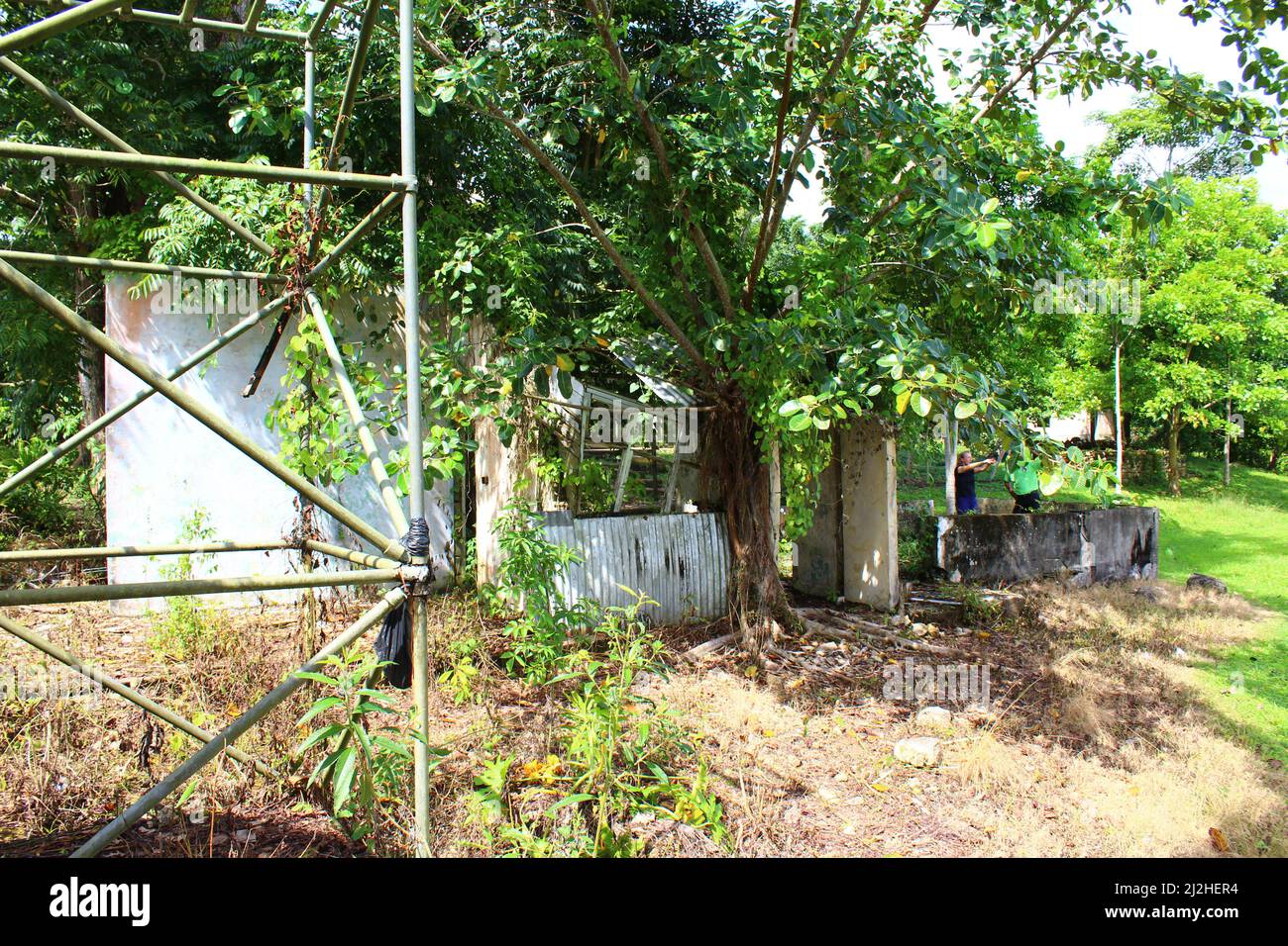 SAN ANTONIO, BELIZE - OCTOBER 26, 2015 ruins of the British Army patrol ...