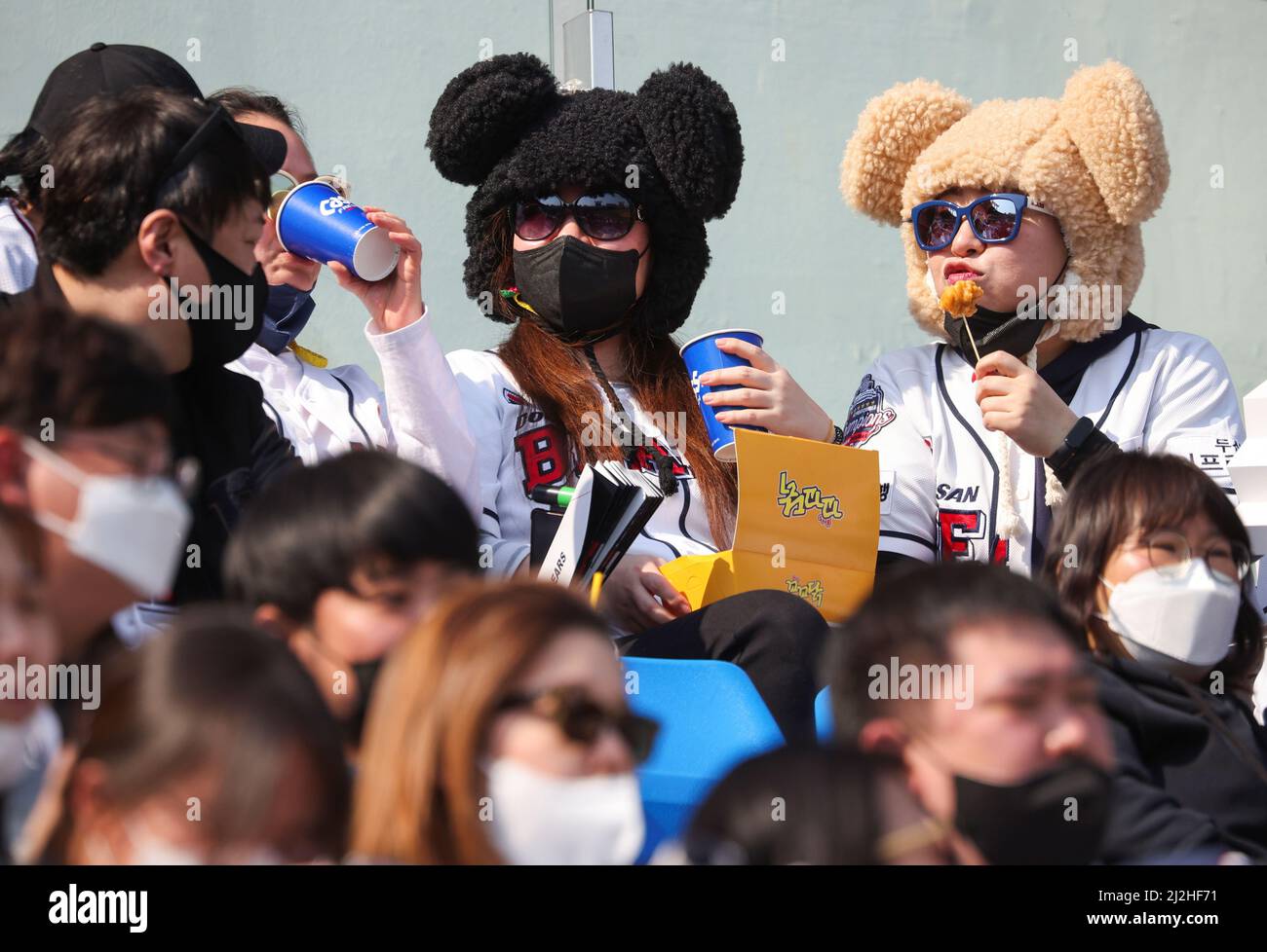 Doosan bears hi-res stock photography and images - Alamy