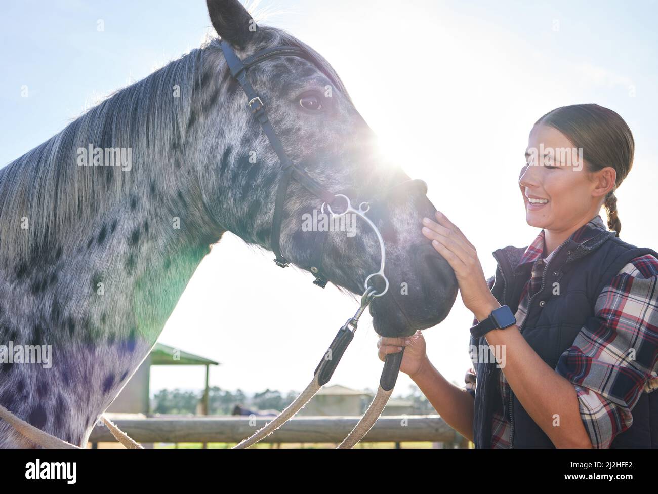 Love field training hi-res stock photography and images - Alamy
