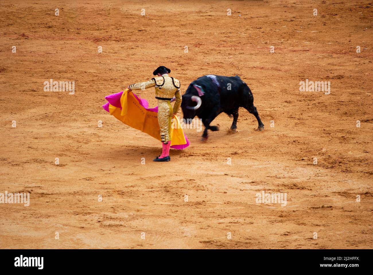 la Real Maestranza, Plaza De Toros, of Seville, Andalusia, spain ...