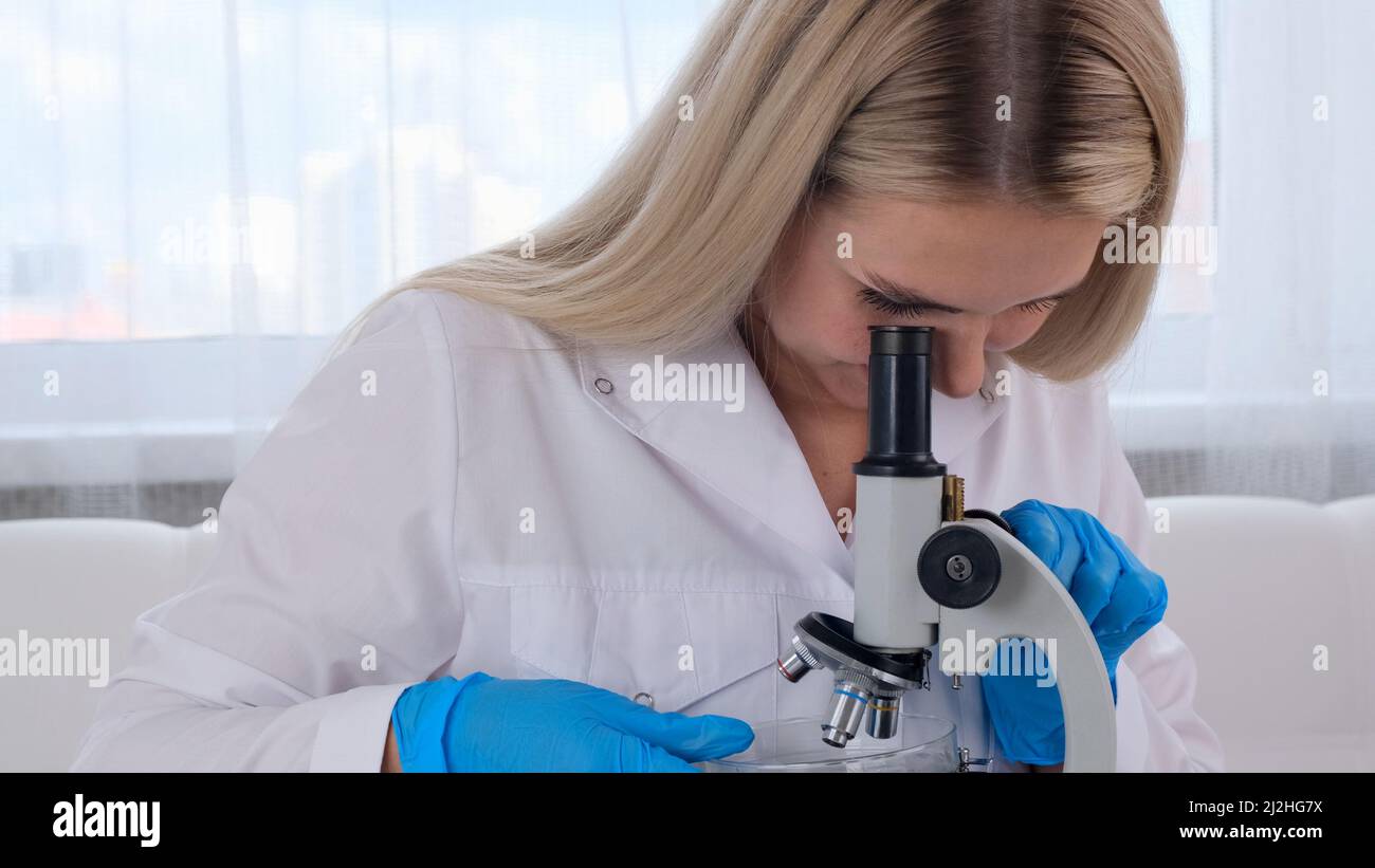Female scientist laboratory assistant looks at a petri dish with ...