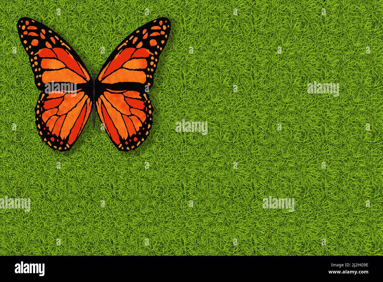 3d illustration. Spring Summer. Butterfly on green grass texture. Grass ...