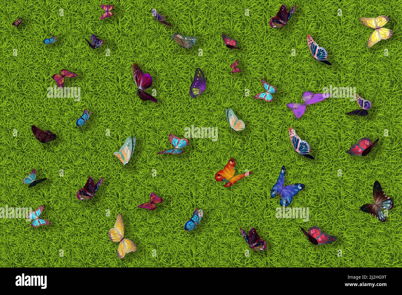 3d illustration. Spring Summer. Butterfly on green grass texture. Grass ...