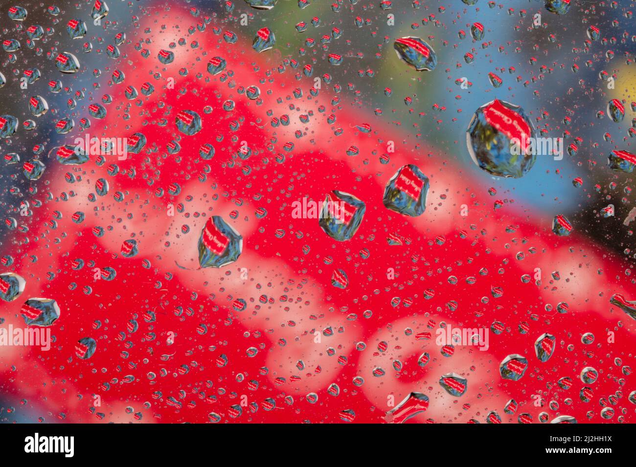 Christmas label reflected in water droplets, creative wrapping Stock ...