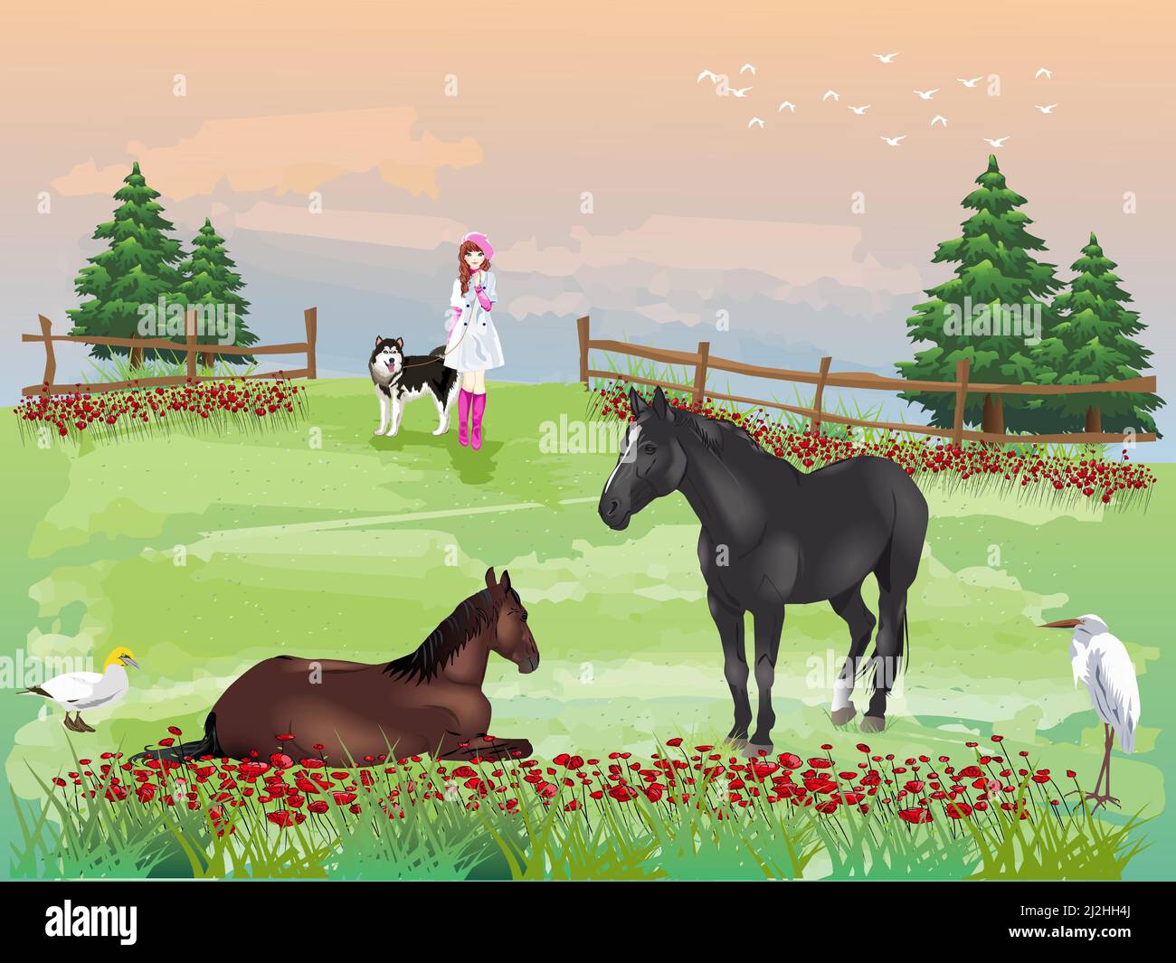 Girl horse paddock Stock Vector Images - Alamy