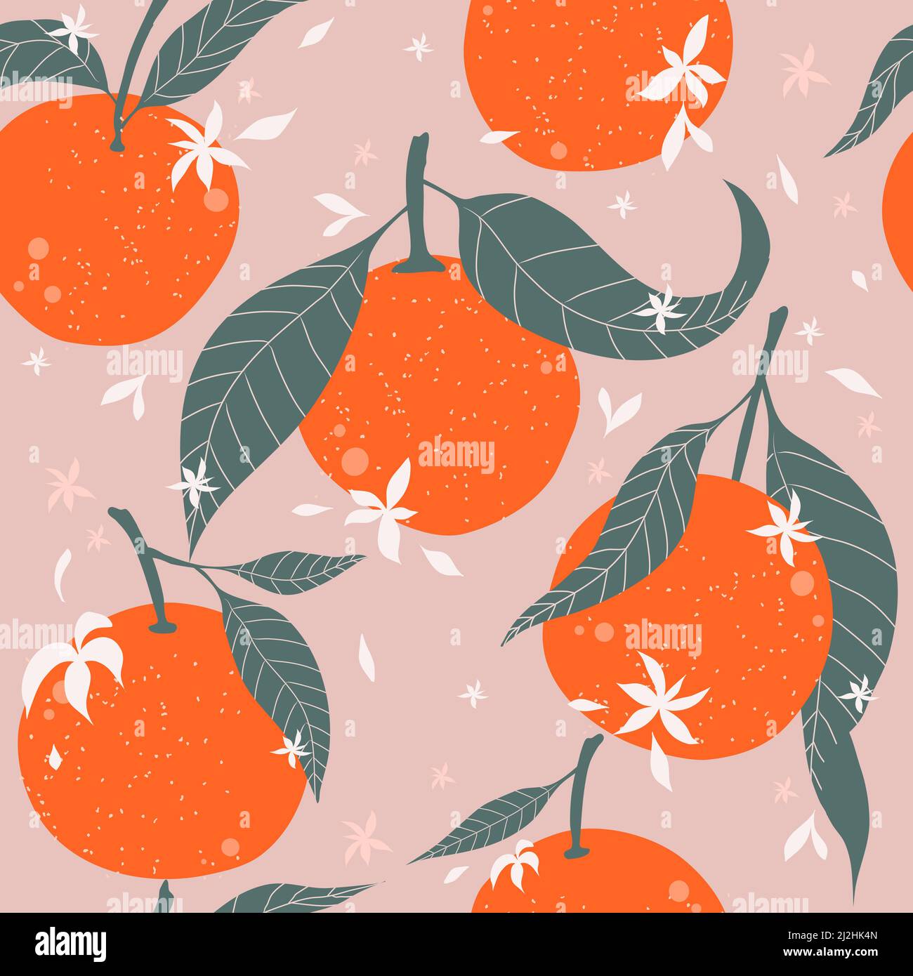 Tangerine floral Stock Vector Images - Alamy