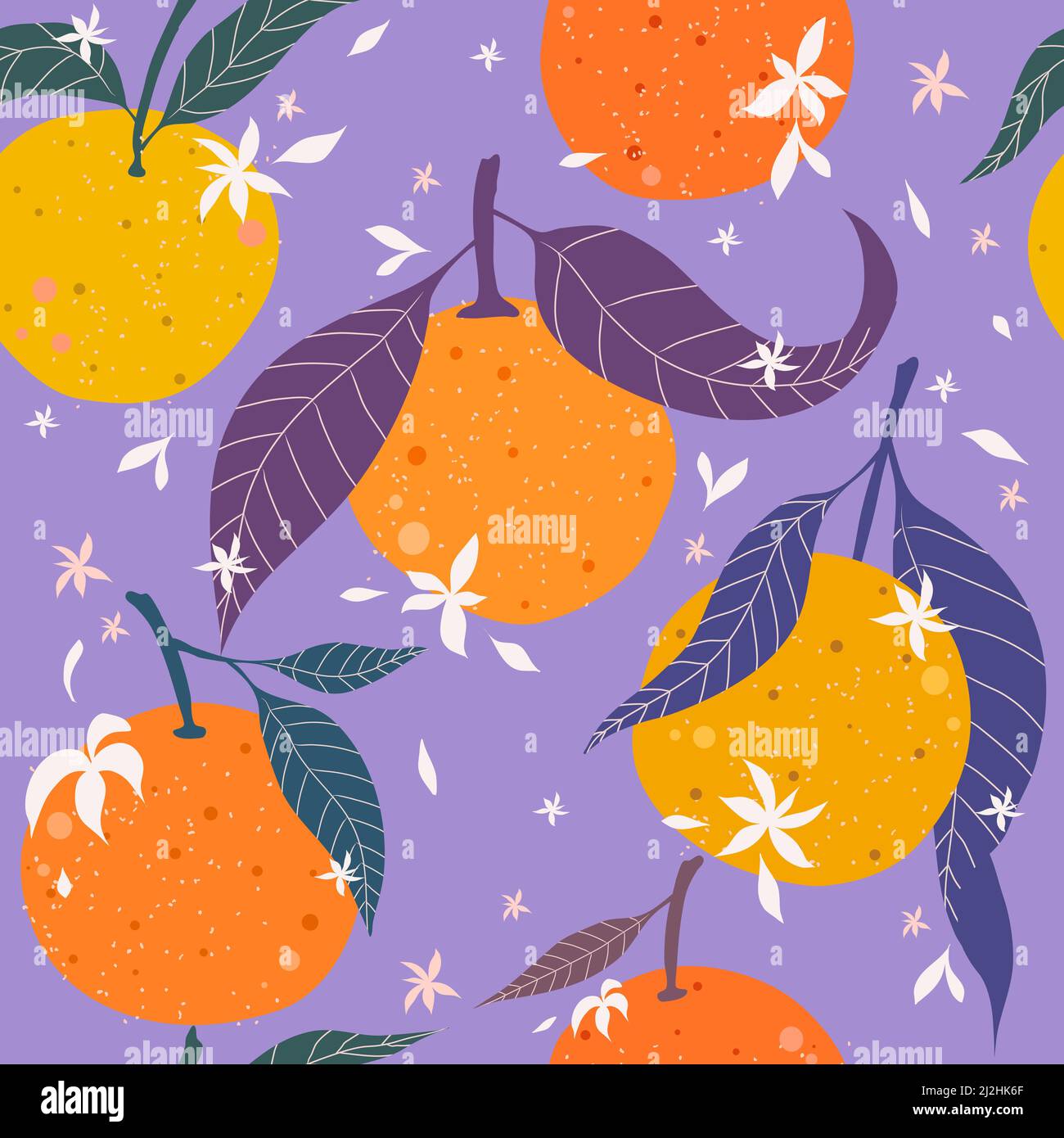 Tangerine seamless pattern. Citrus fruit background Stock Vector Image ...