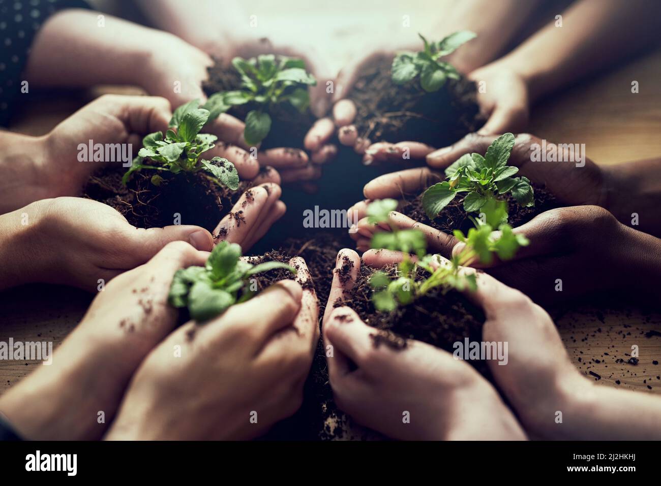 Greener tomorrow hi-res stock photography and images - Alamy