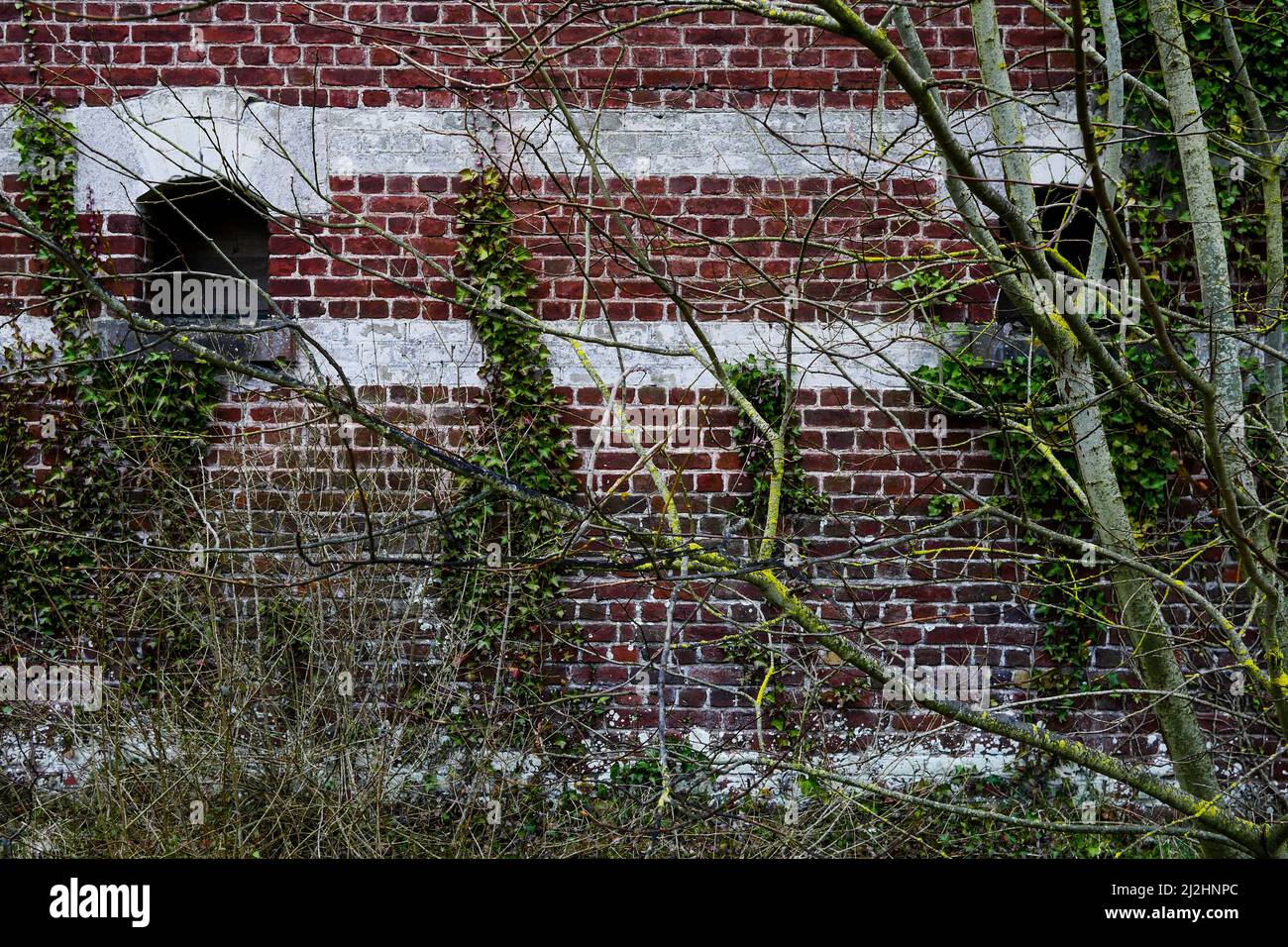 Ruins of the Ferme Nord - Northern Farm, Zuydcoote, Nord, Hauts-de ...