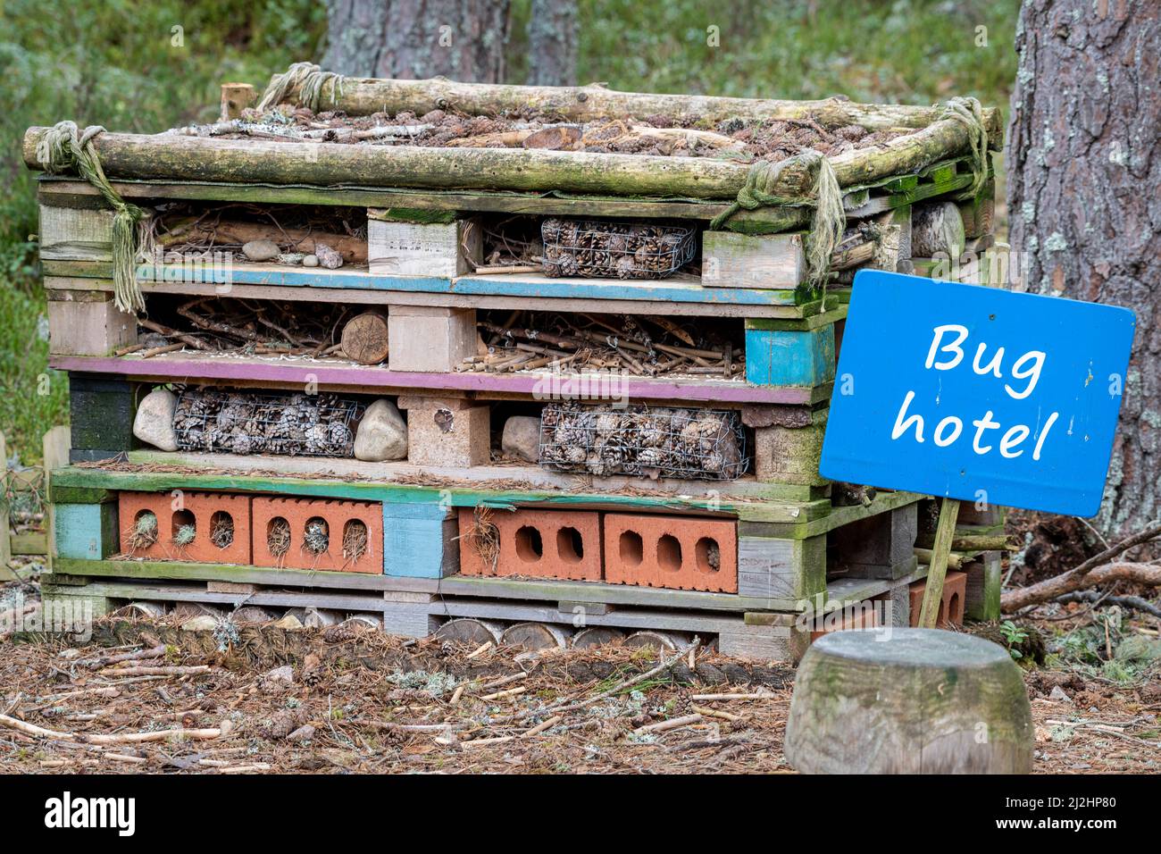 Bug Hotel made from pallets, bricks and other building materials Stock ...