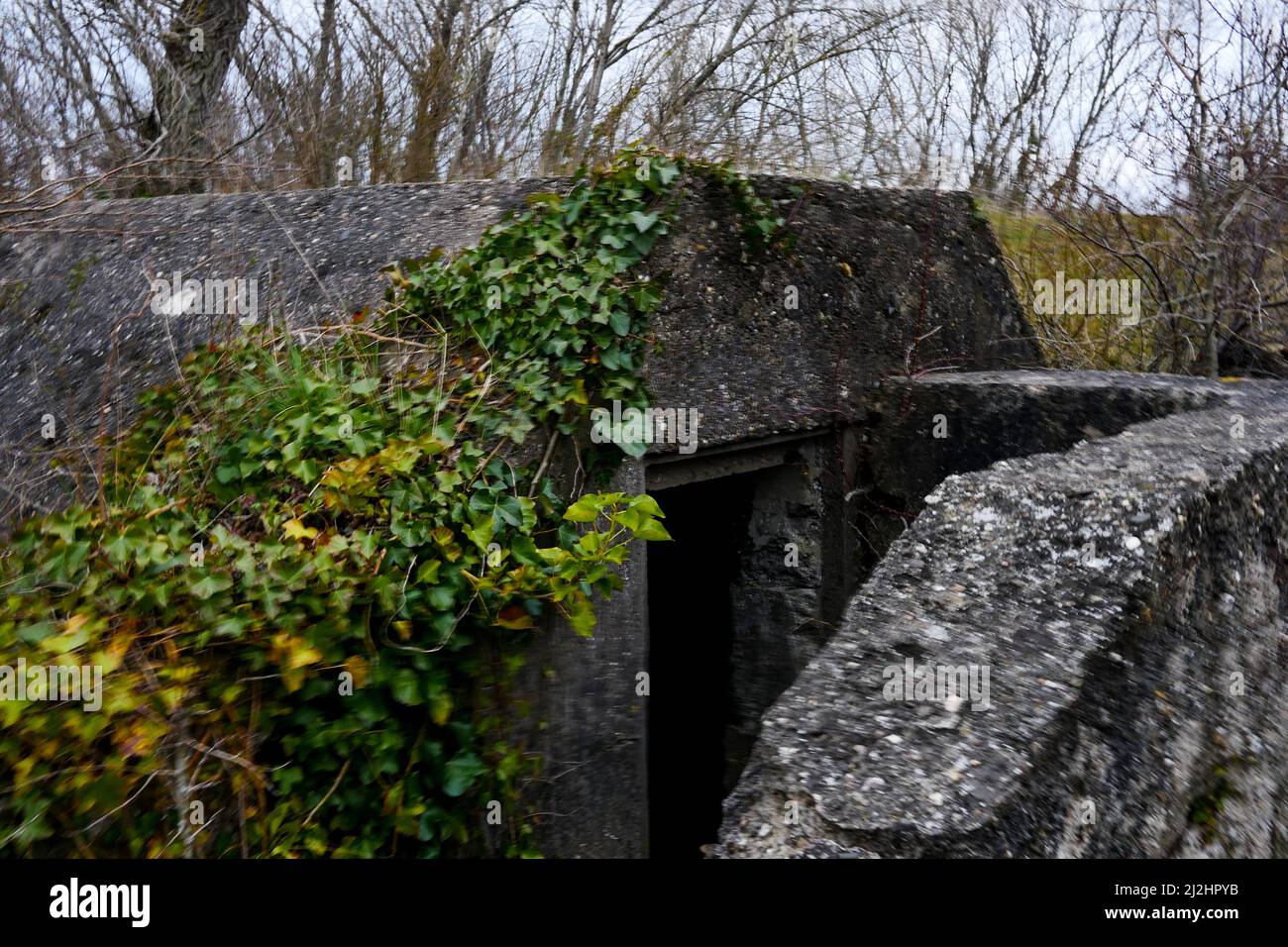 Abandoned WWII German blockhaus, Dune Marchand, Zuydcoote, Nord, Hauts ...
