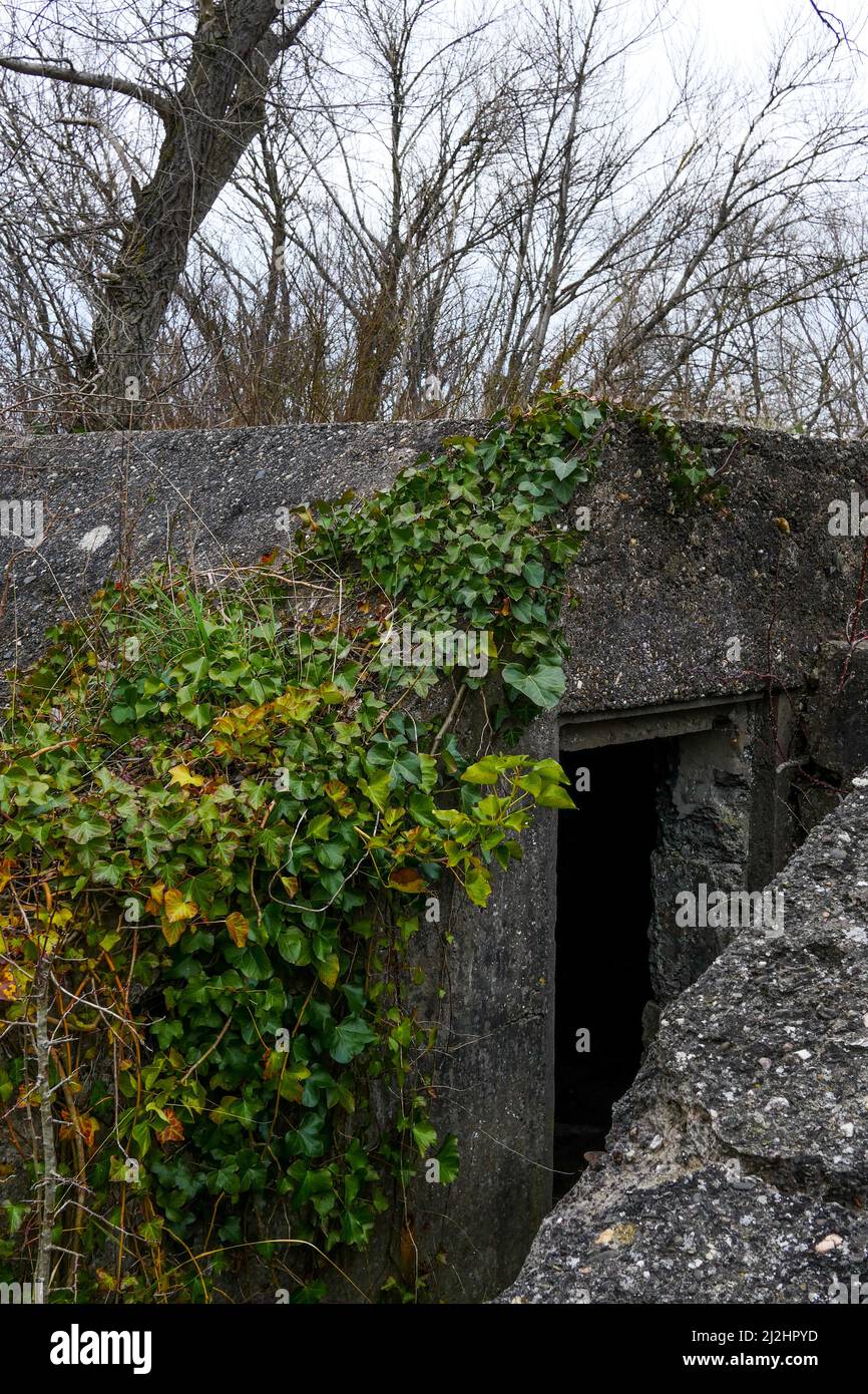 Abandoned WWII German blockhaus, Dune Marchand, Zuydcoote, Nord, Hauts ...