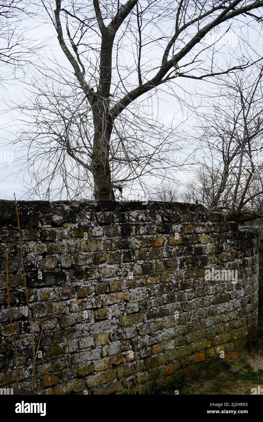 Abandoned WWII German blockhaus, Dune Marchand, Zuydcoote, Nord, Hauts ...