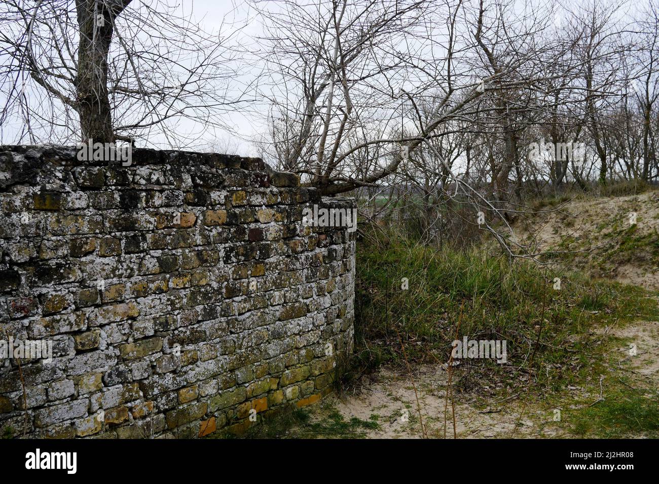 Abandoned WWII German blockhaus, Dune Marchand, Zuydcoote, Nord, Hauts ...