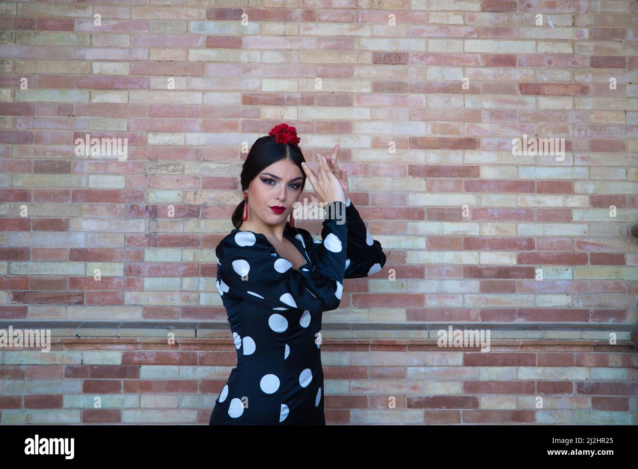 A Hispanic brunette flamenco dancer wearing a white polka dots dress ...
