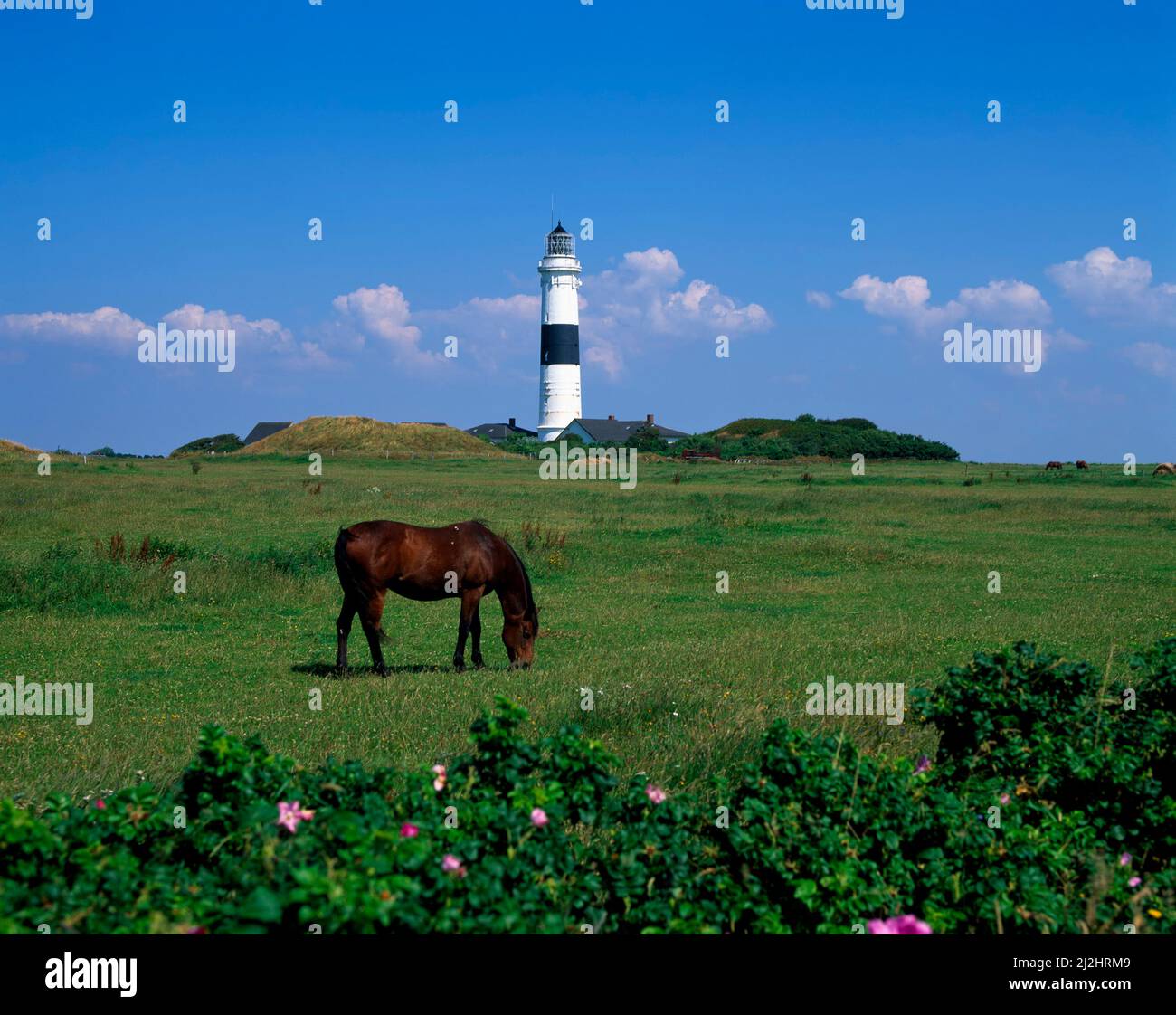 Lighthouse in Kampen, Sylt island, Schleswig-Holstein, Germany, Europe ...