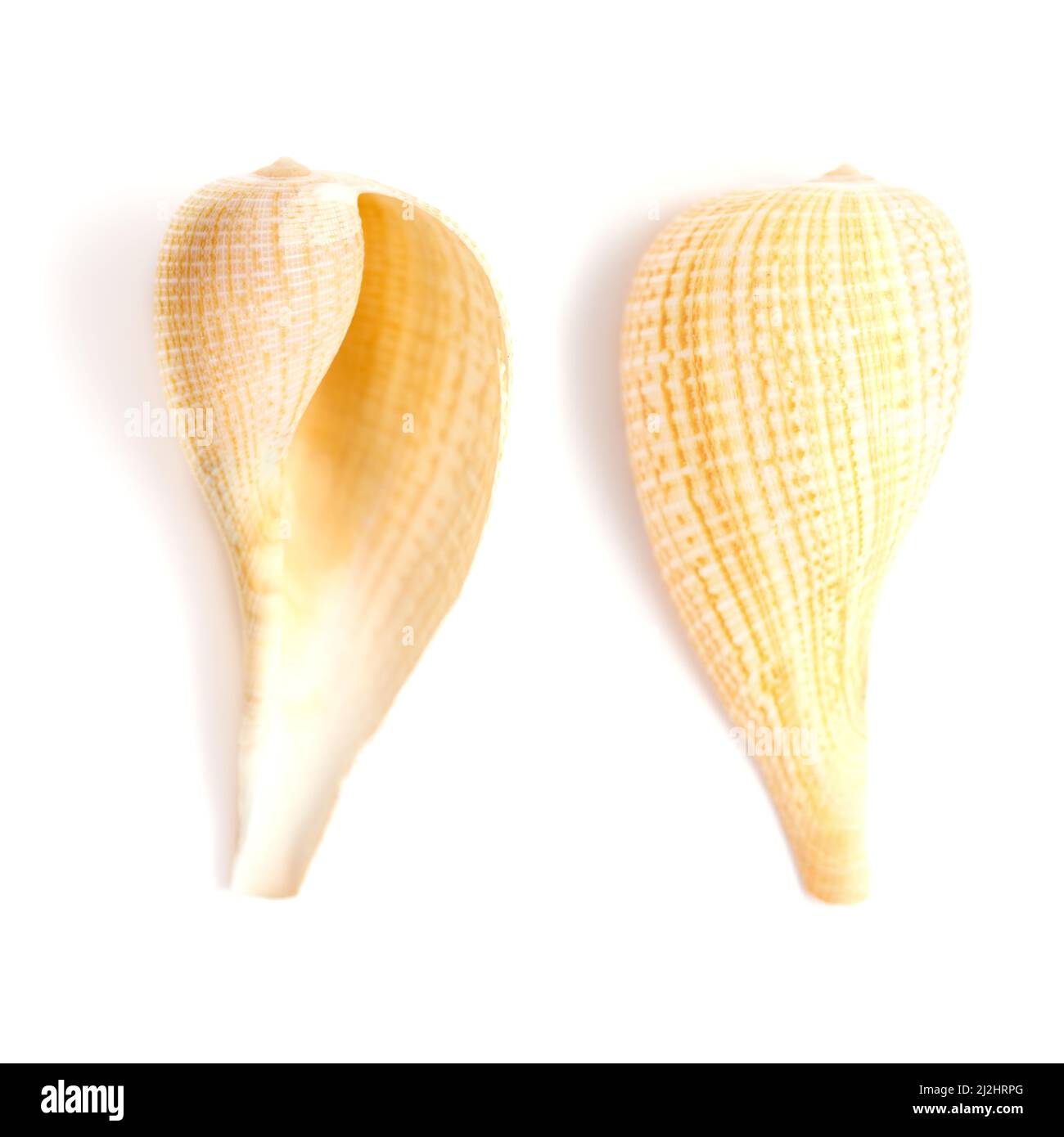 Dead low water Cut Out Stock Images & Pictures - Alamy