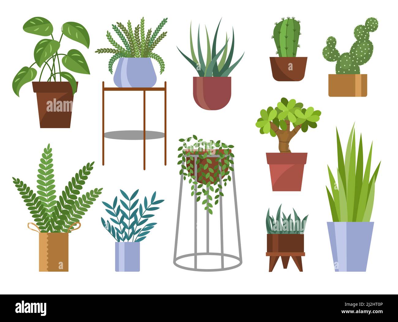 Green plants in pots cartoon vector set. Different potted decorative ...