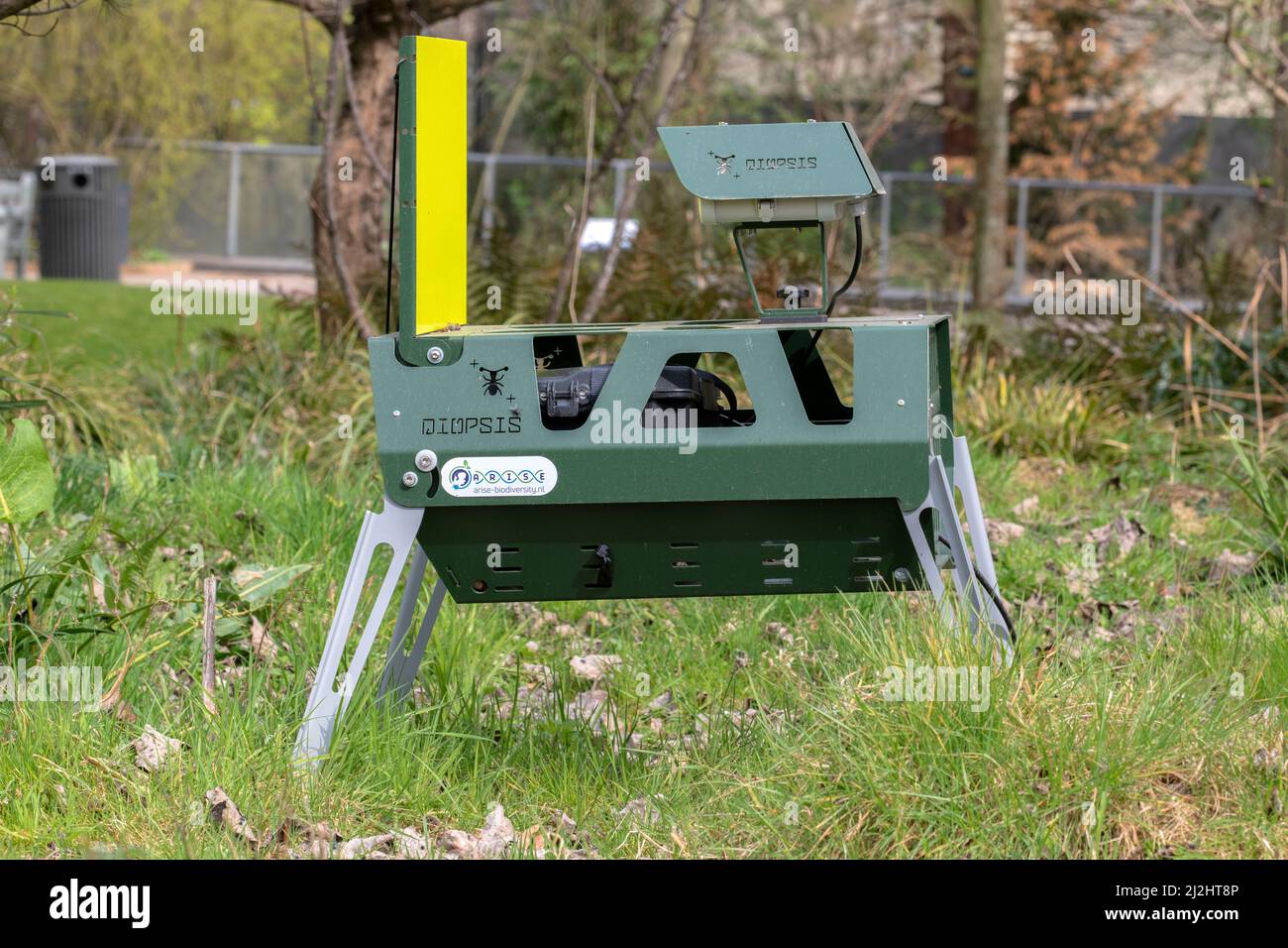 Diopsis Camera Attracting Insects At Amsterdam The Netherlands 28-3 ...