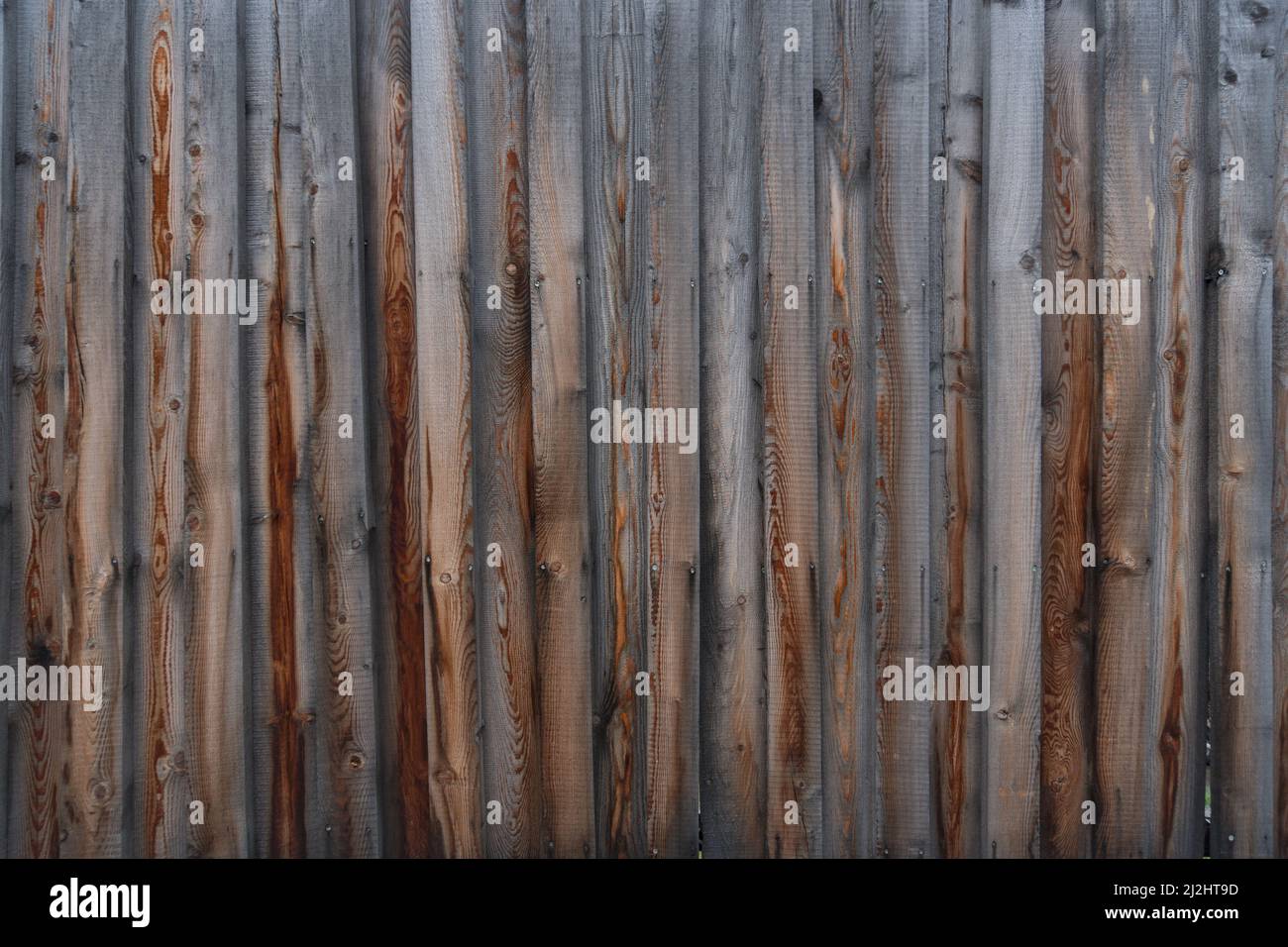 Format filling wood larch boards partially overlapping mounted ...