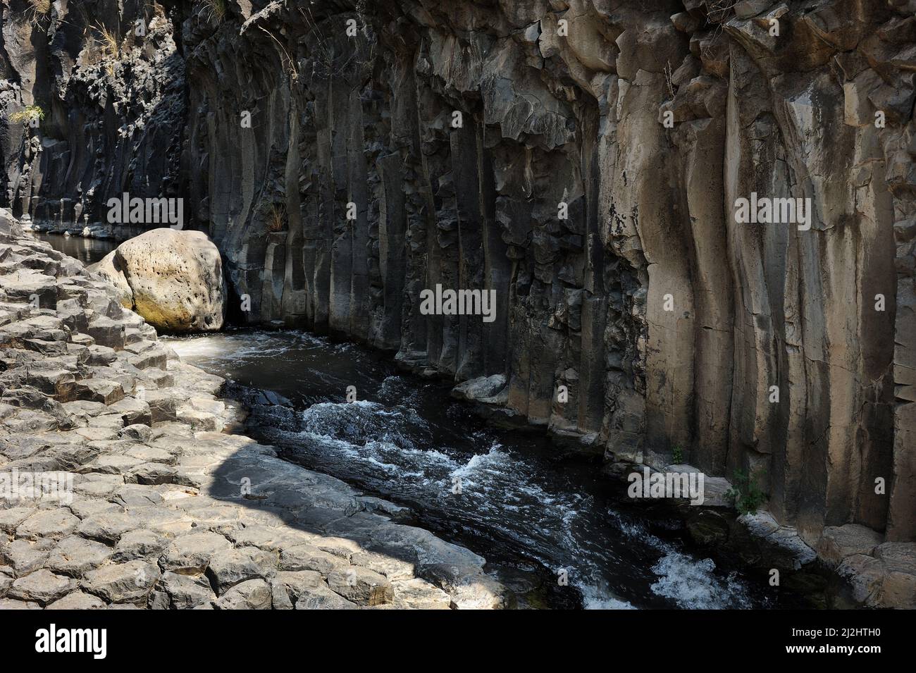 Stream and pond Meshushim in Israel - a beautiful place in the Golan ...