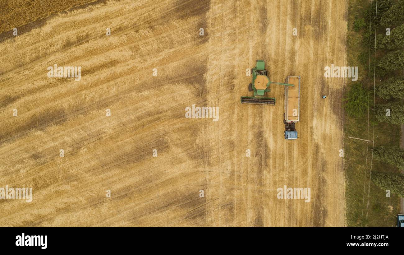 Aerial view combine harvester harvesting on the field Stock Photo - Alamy