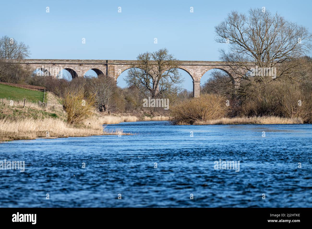 Roxburgh Viaduct, Teviot River, Scotland Stock Photo - Alamy